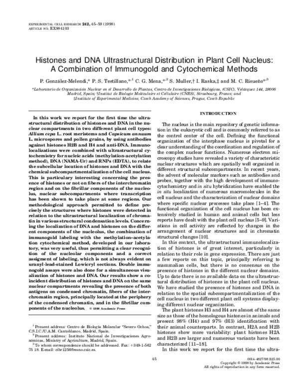 (PDF) Histones and DNA Ultrastructural Distribution in Plant Cell ...