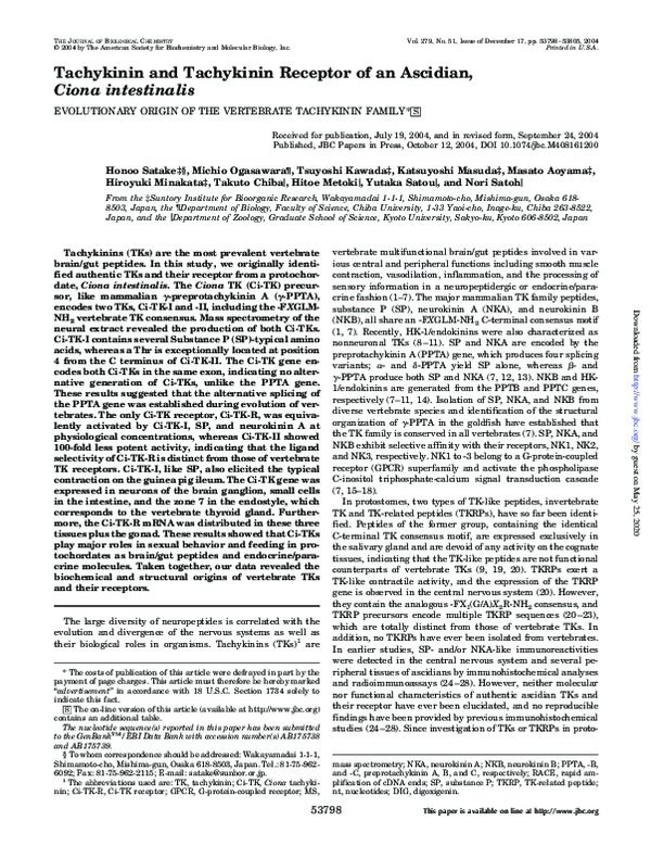 (PDF) Tachykinin and Tachykinin Receptor of an Ascidian, Ciona ...