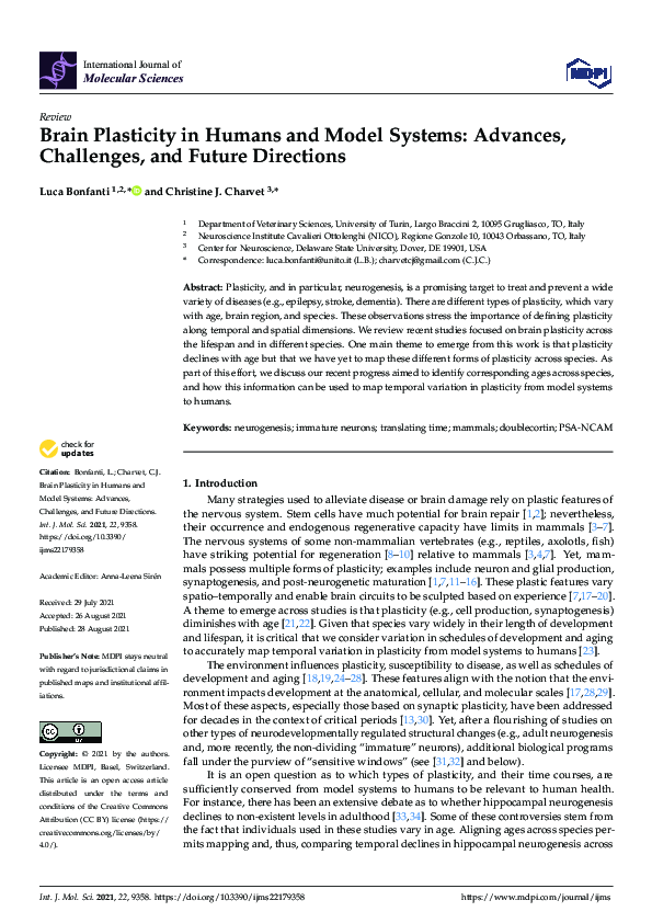 (PDF) Brain Plasticity in Humans and Model Systems: Advances ...