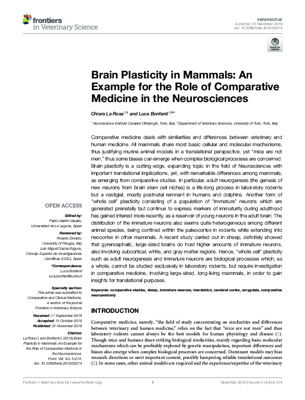 (PDF) Brain Plasticity in Mammals: An Example for the Role of ...