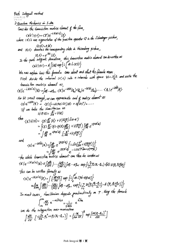 (PDF) Path integral