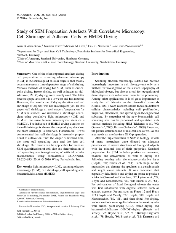 (PDF) Study of SEM preparation artefacts with correlative microscopy ...