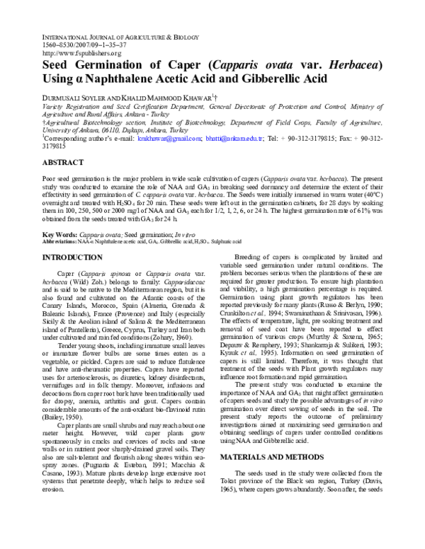 (PDF) Seed Germination of Caper (Capparis ovata var. Herbacea) Using α ...