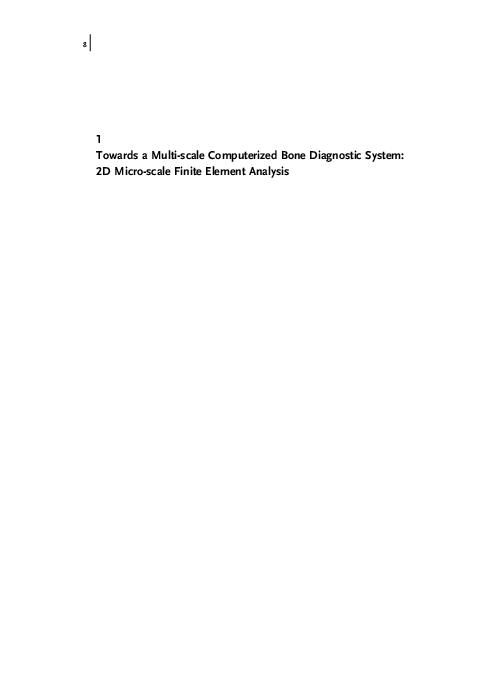 (PDF) Toward a Multiscale Computerized Bone Diagnostic System: 2D ...