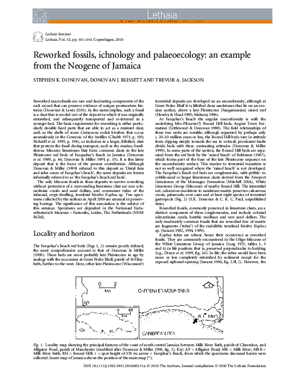 (PDF) Reworked fossils, ichnology and palaeoecology: an example from ...