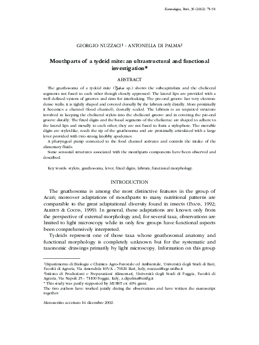 (PDF) Mouthparts of a tydeid mite: an ultrastructural and functional ...