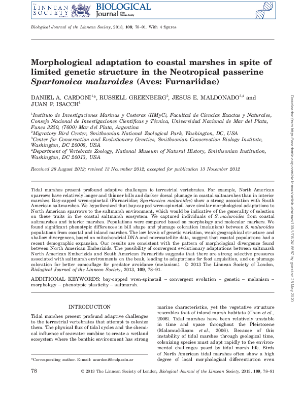 (PDF) Morphological adaptation to coastal marshes in spite of limited ...