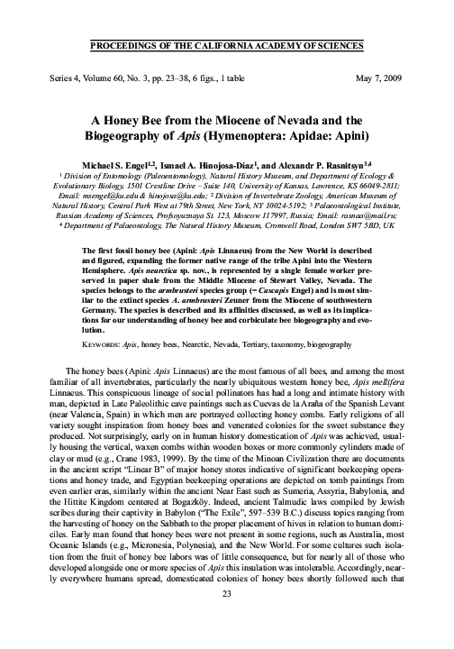 (PDF) A honey bee from the Miocene of Nevada and the biogeography of ...
