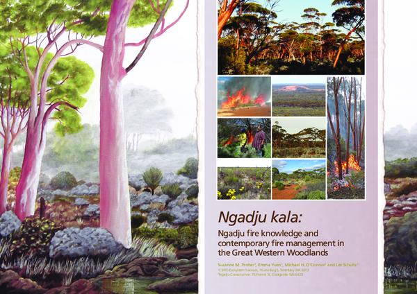 (PDF) Ngadju Kala: Ngadju fire knowledge and contemporary fire ...