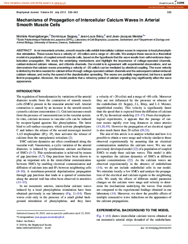 (PDF) Mechanisms of Propagation of Intercellular Calcium Waves in ...