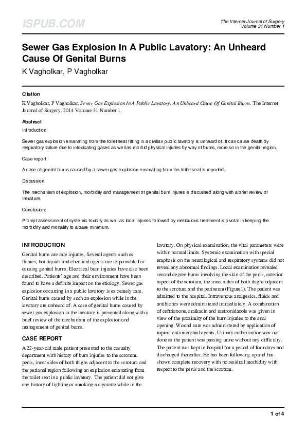 (PDF) Sewer Gas Explosion In A Public Lavatory: An Unheard Cause Of ...