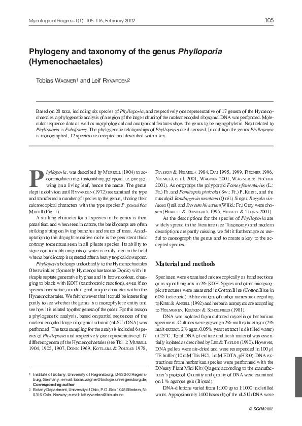 (PDF) Phylogeny and taxonomy of the genus Phylloporia (Hymenochaetales)