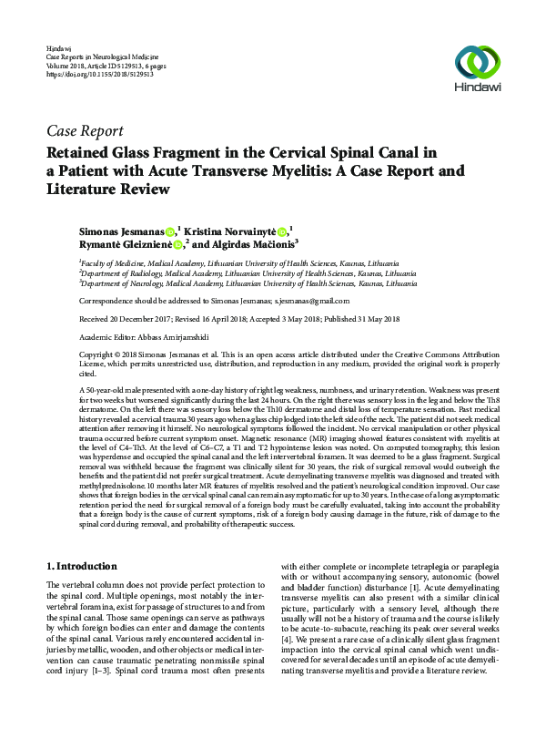 (PDF) Retained Glass Fragment in the Cervical Spinal Canal in a Patient ...