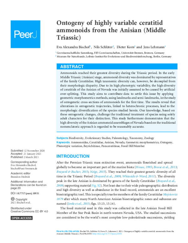 (PDF) Ontogeny of highly variable ceratitid ammonoids from the Anisian ...