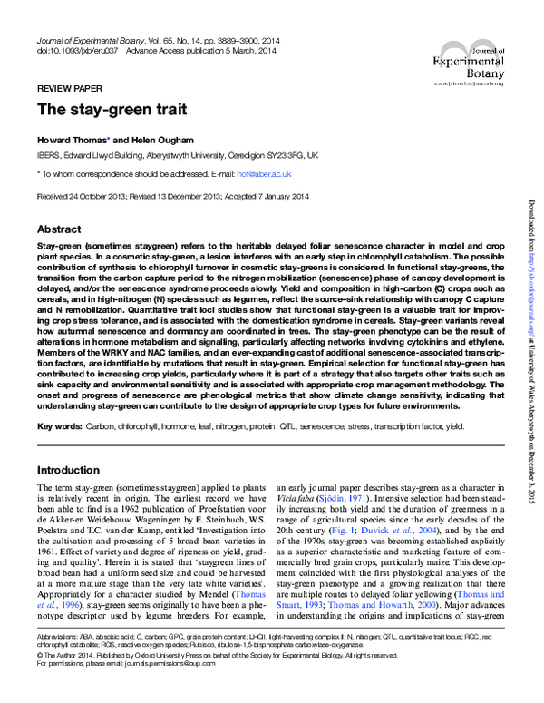 (PDF) The stay-green trait