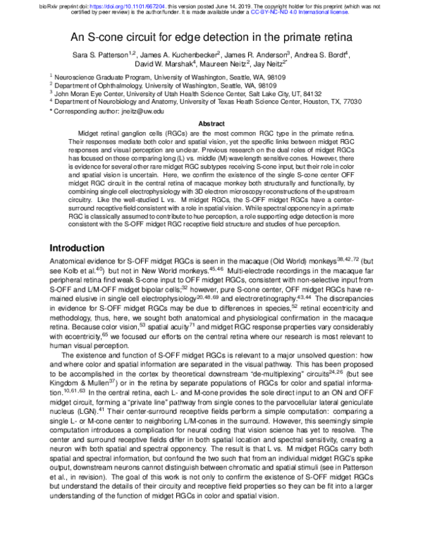 (PDF) An S-cone circuit for edge detection in the primate retina
