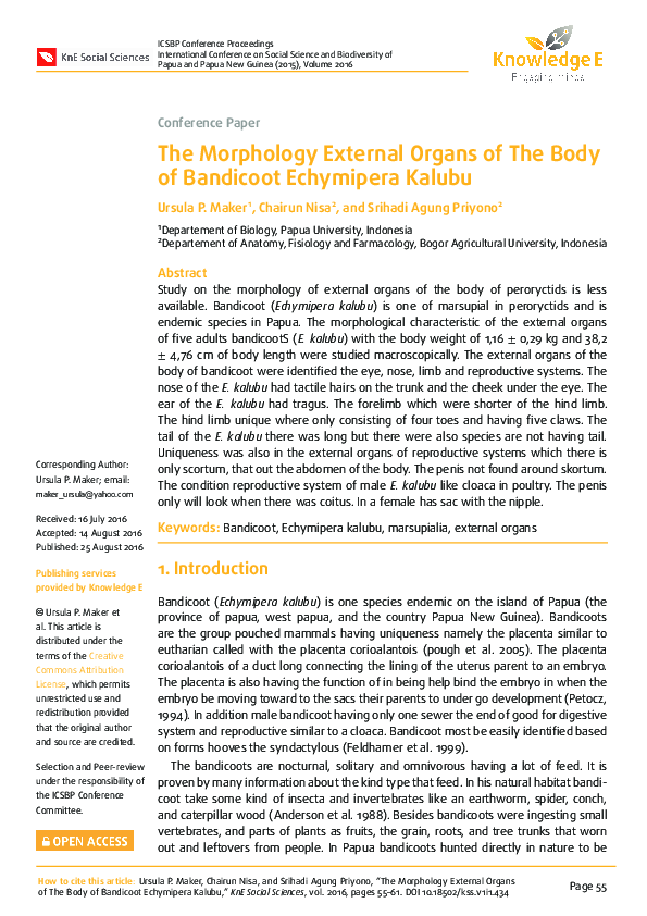 (PDF) The Morphology External Organs Of The Body Of Bandicoot ...