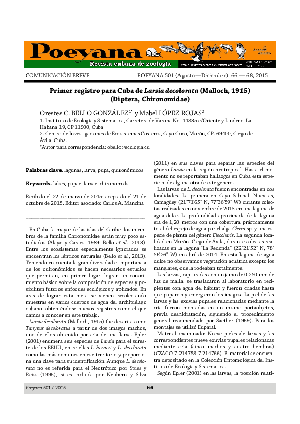 (PDF) Primer registro para Cuba de Larsia decolorata (Malloch, 1915 ...