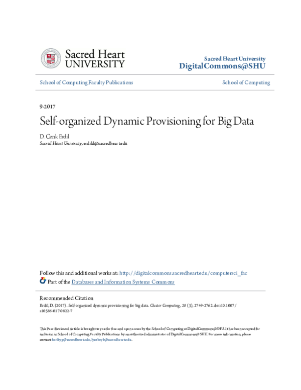 (PDF) Self-organized dynamic provisioning for big data