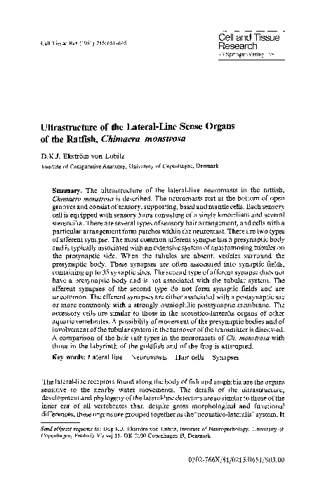 (PDF) Ultrastructure of the lateral-line sense organs of the ratfish ...