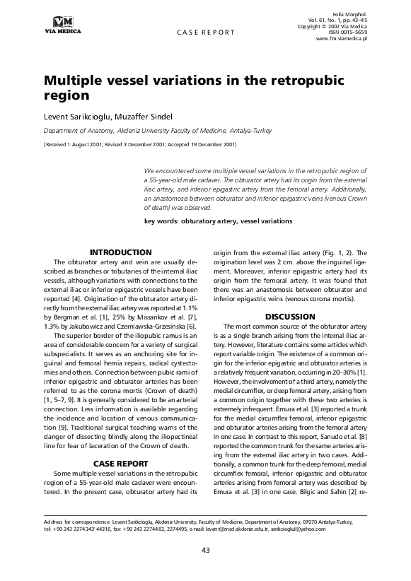 (PDF) Vascular Variations in Retropubic Region Anatomy