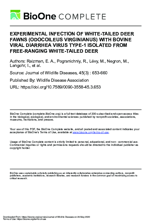 (PDF) Experimental Infection of White-Tailed Deer Fawns (Odocoileus ...