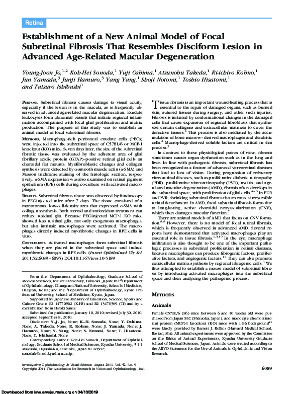 (PDF) Establishment of a New Animal Model of Focal Subretinal Fibrosis ...