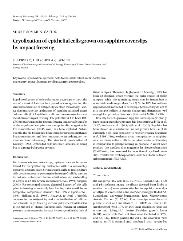 (PDF) Cryofixation of epithelial cells grown on sapphire coverslips by ...