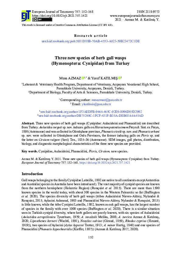 (PDF) Three New Gall Wasp Species from Turkey