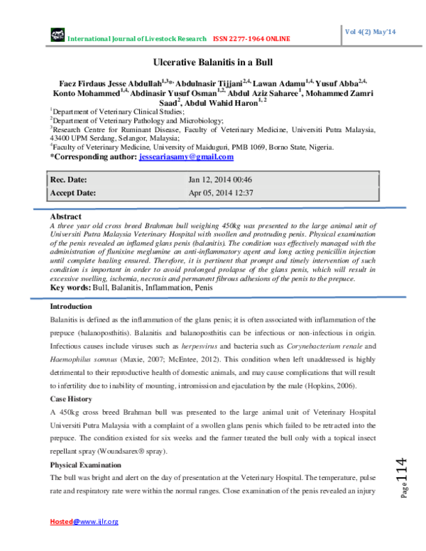 (PDF) Ulcerative Balanitis in a Bull