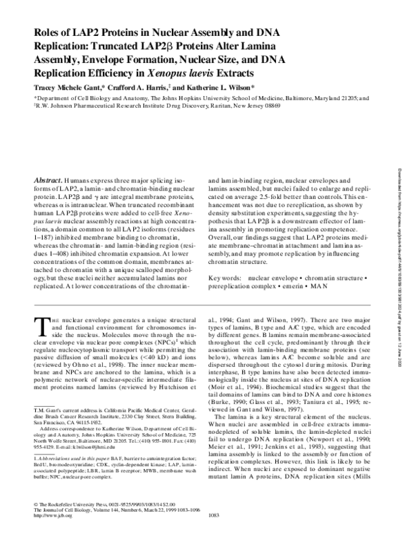 (PDF) Roles of LAP2 Proteins in Nuclear Assembly and DNA Replication ...