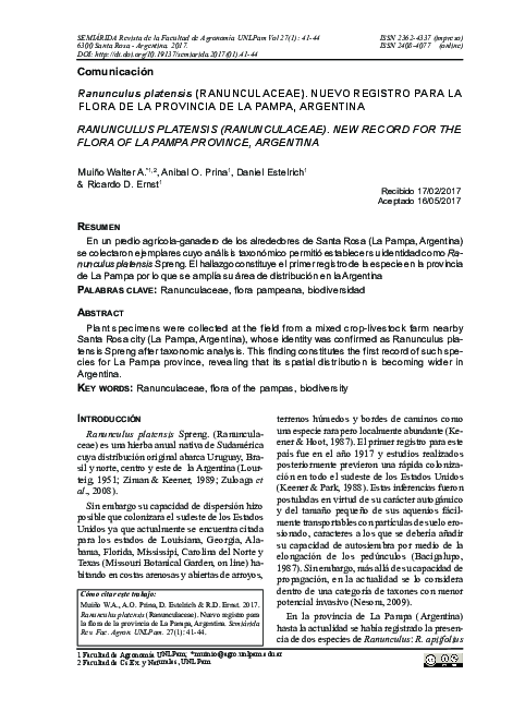(PDF) Ranunculus platensis (Ranunculaceae). New record for the flora of ...