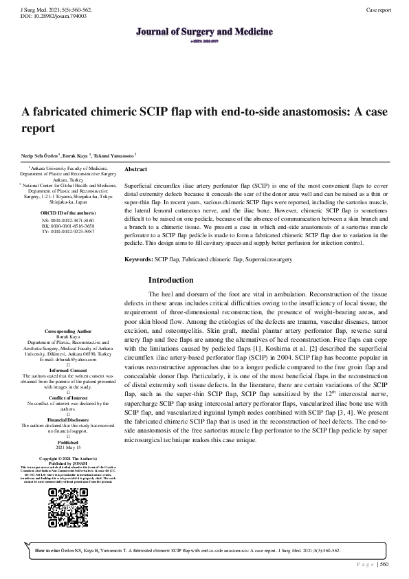 (PDF) A fabricated chimeric SCIP flap with end-to-side anastomosis: A ...