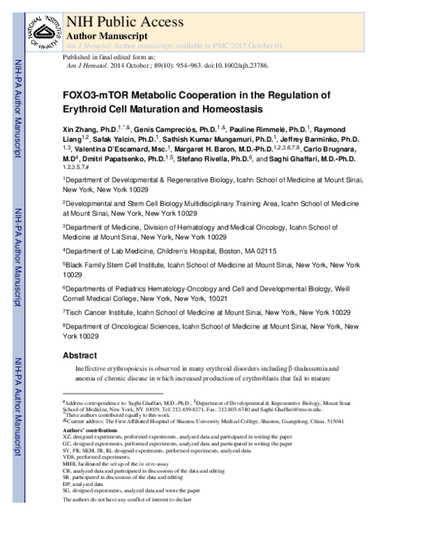 (PDF) FOXO3‐mTOR metabolic cooperation in the regulation of erythroid ...