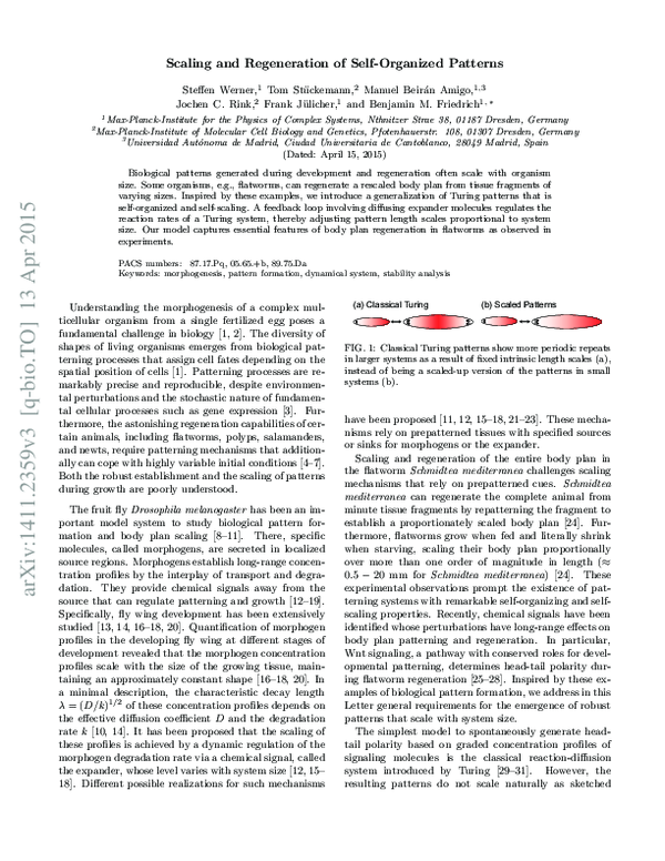 (PDF) Scaling and regeneration of self-organized patterns