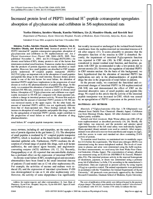 (PDF) Increased protein level of PEPT1 intestinal H+-peptide ...