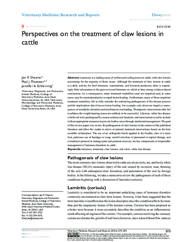 (PDF) Perspectives on the treatment of claw lesions in cattle