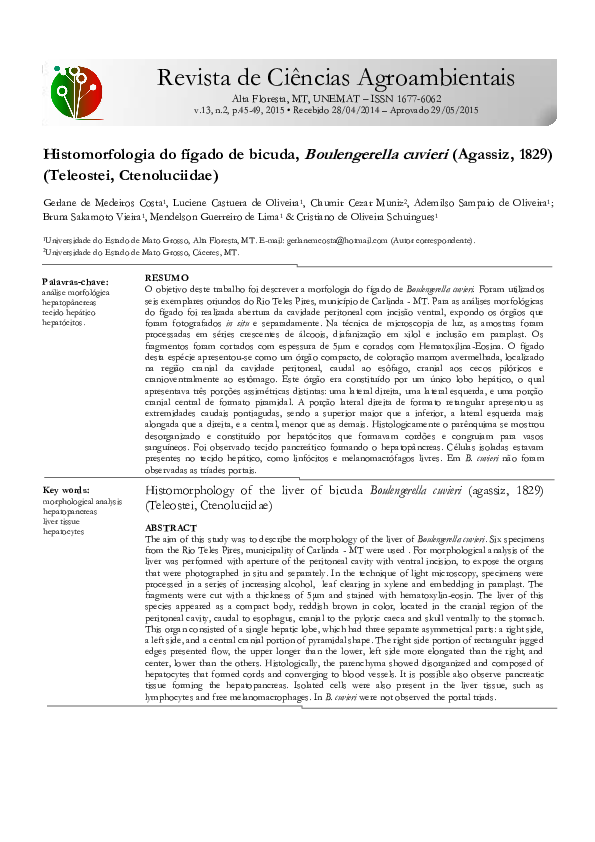 (PDF) Histomorfologia do fígado de bicuda, Boulengerella cuvieri ...