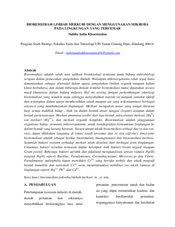 (PDF) BIOREMEDIASI LIMBAH MERKURI DENGAN MENGGUNAKAN MIKROBA PADA ...