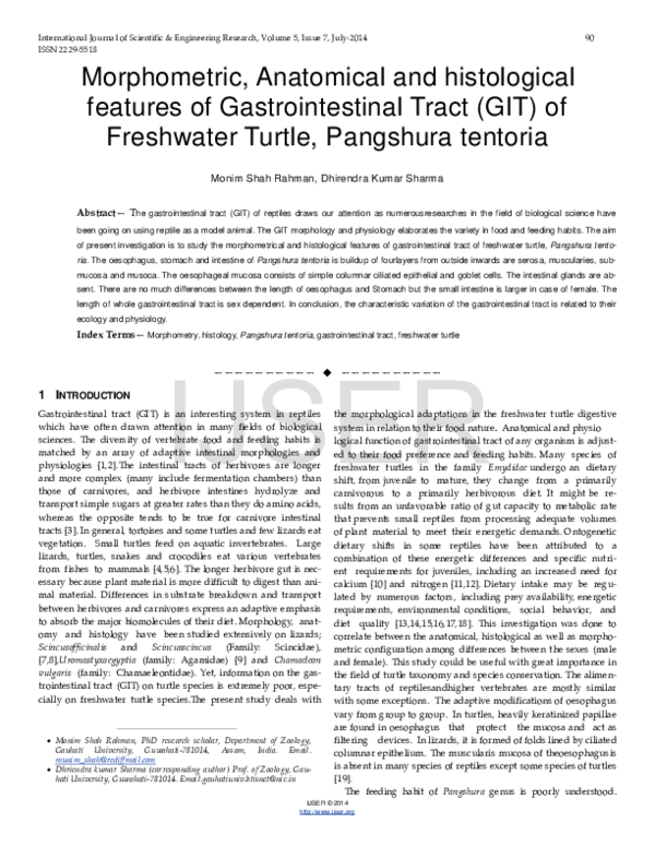 (PDF) Morphometric, Anatomical and histological features of ...