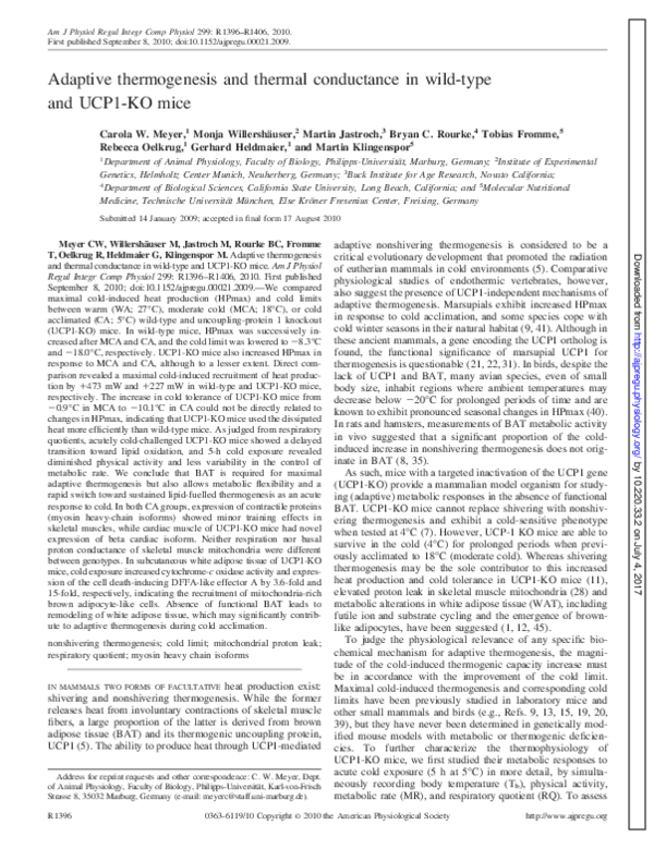 (PDF) Adaptive thermogenesis and thermal conductance in wild-type and ...