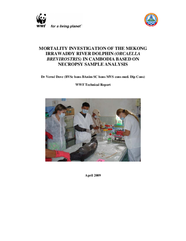 (PDF) Mortality investigation of the Mekong Irrawaddy River dolphin ...