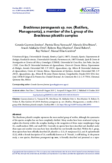 (PDF) Brachionus paranguensis sp. nov. (Rotifera, Monogononta), a ...