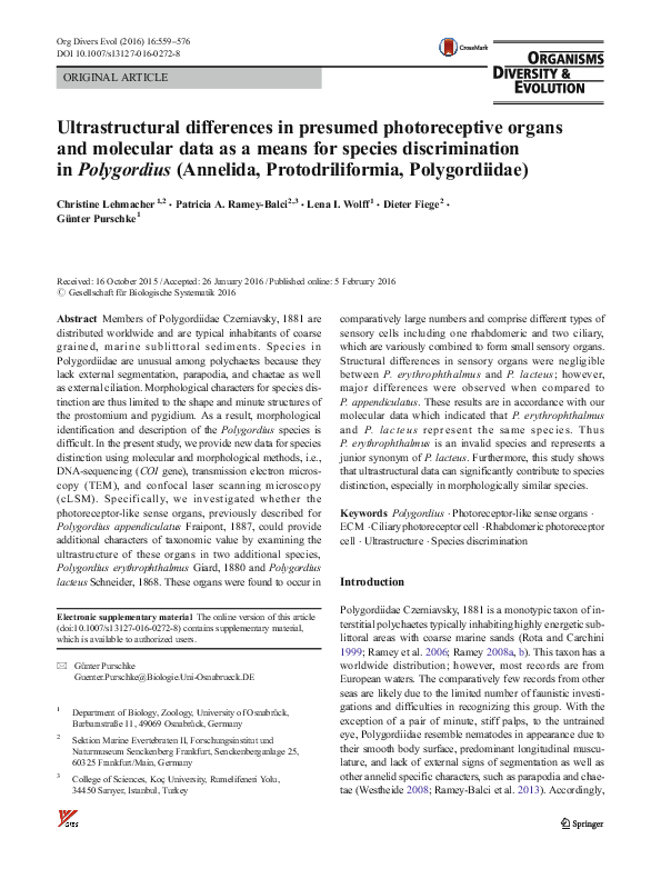 (PDF) Ultrastructural differences in presumed photoreceptive organs and ...