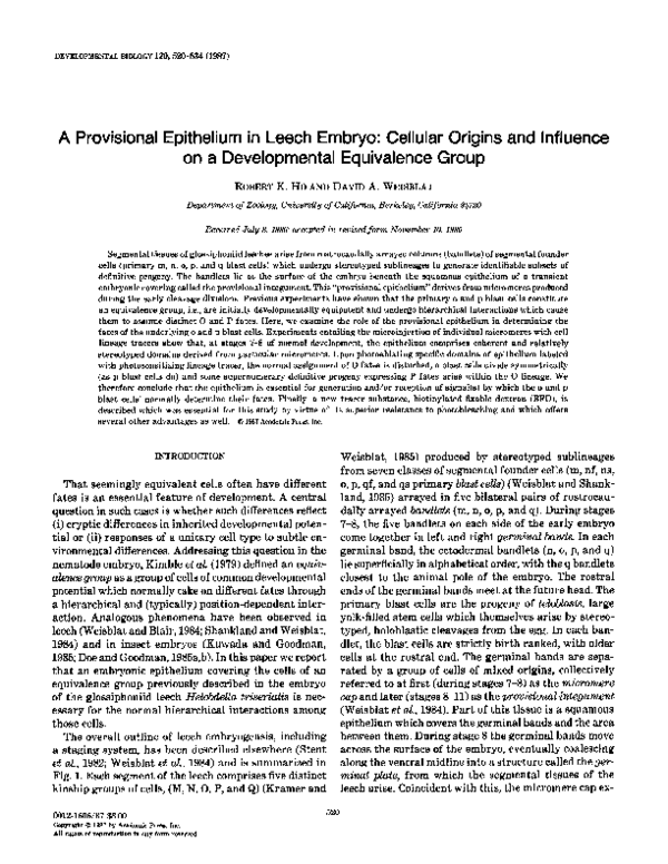 (PDF) A provisional epithelium in leech embryo: Cellular origins and ...