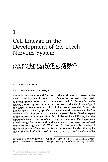 (PDF) Cell lineage in the development of the leech nervous system