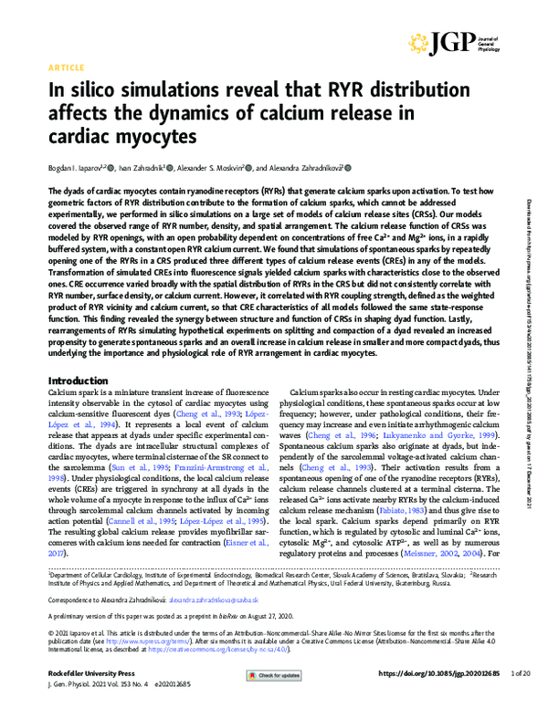 (PDF) In silico simulations reveal that RYR distribution affects the ...