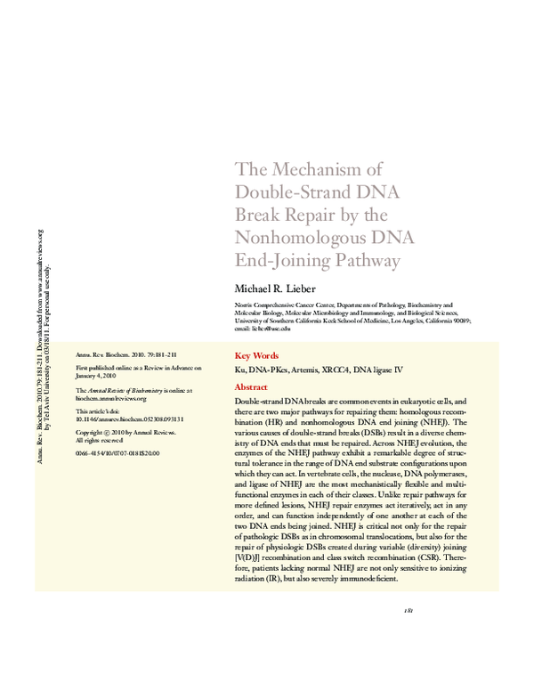 (PDF) The Mechanism of Double-Strand DNA Break Repair by the ...