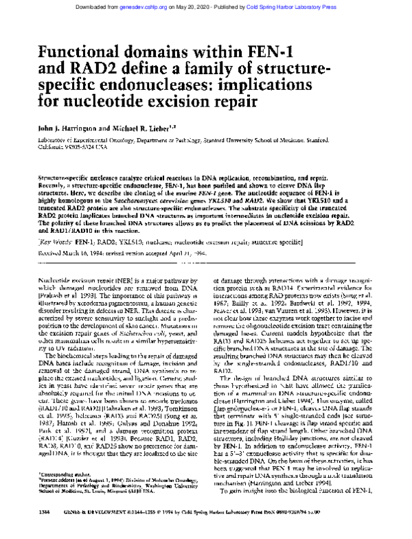 (PDF) Functional domains within FEN-1 and RAD2 define a family of ...