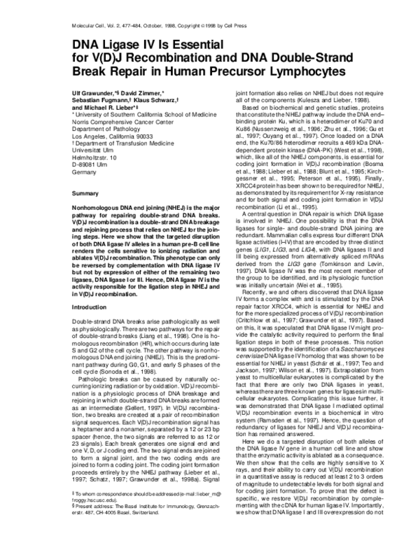 (PDF) DNA Ligase IV Is Essential for V(D)J Recombination and DNA Double ...
